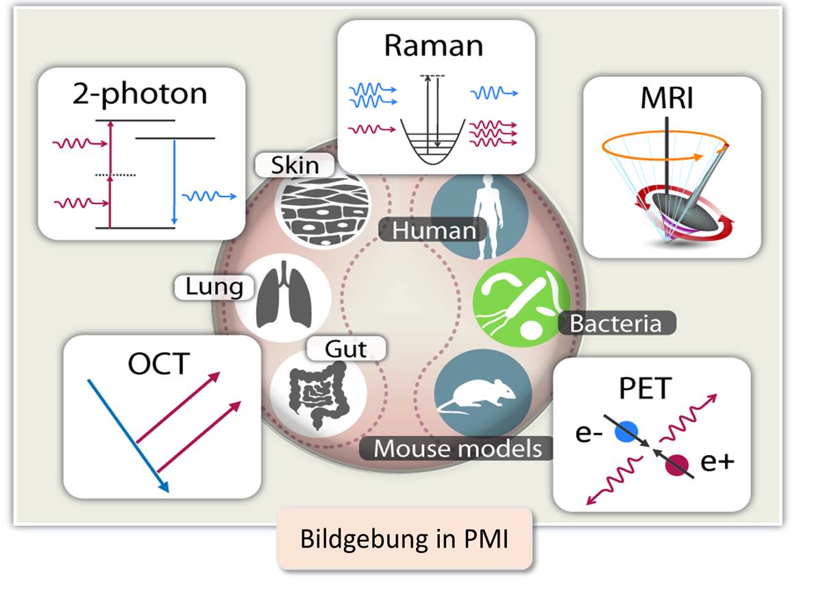 News: Institute for Biomedical Optics